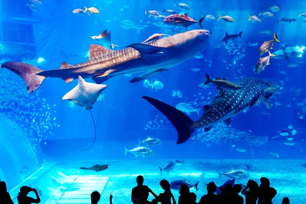 Okinawa Main Island Private Tours & Local Tour Guides | GoWithGuide