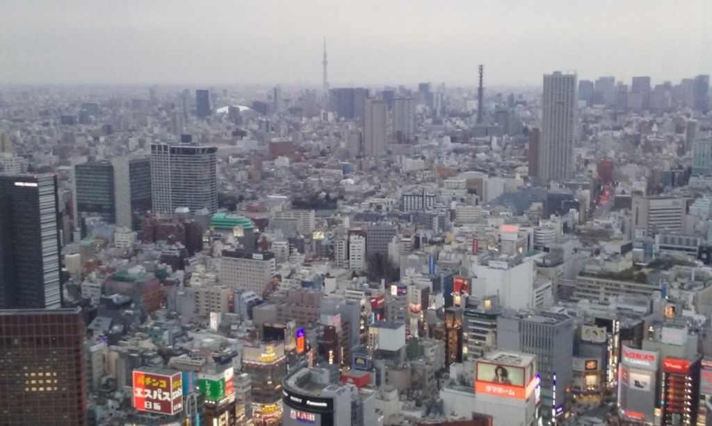 7 very good reasons to visit Tokyo | GoWithGuide