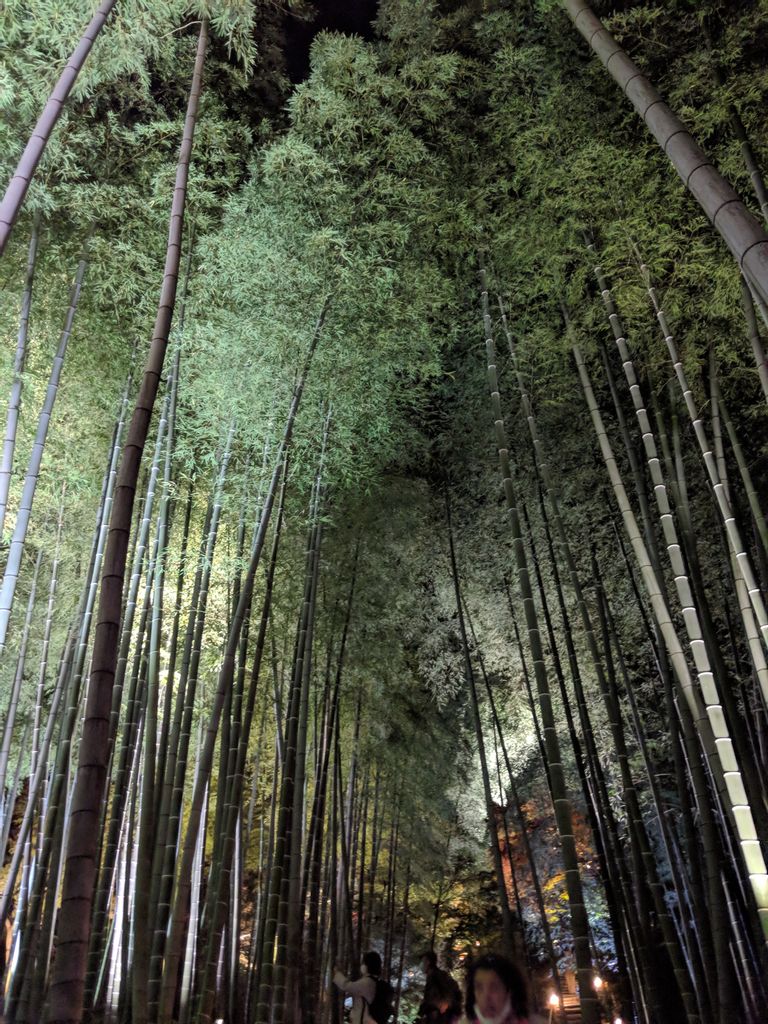 Various Kyoto Tour Spots Introduction | GoWithGuide