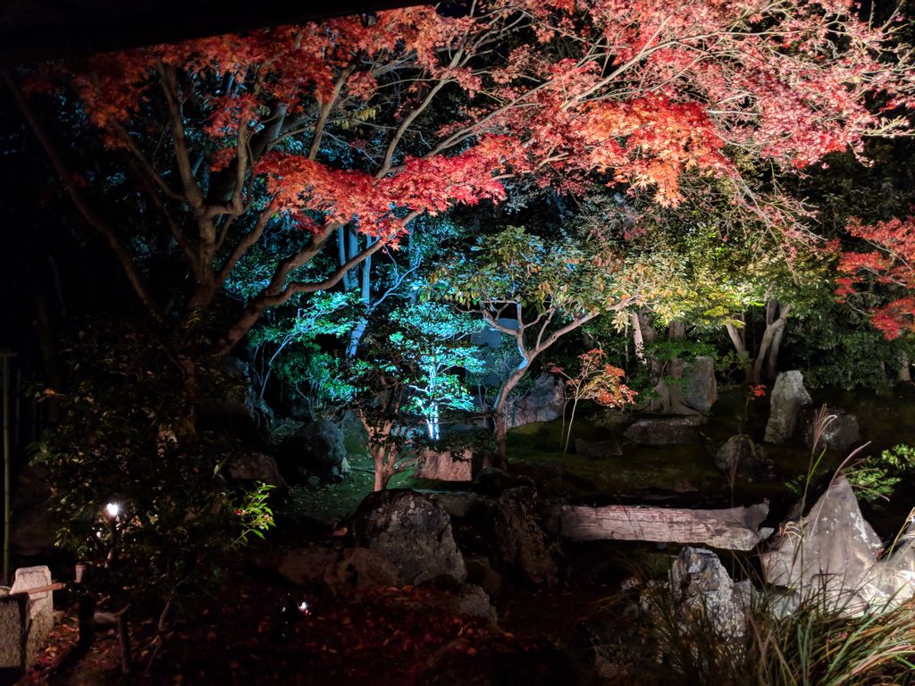 Various Kyoto Tour Spots Introduction | GoWithGuide