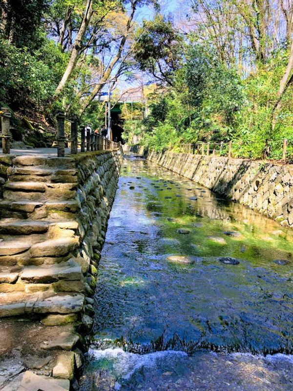 One-day Tokyo Tour In Your Own Way - Tokyo | GoWithGuide