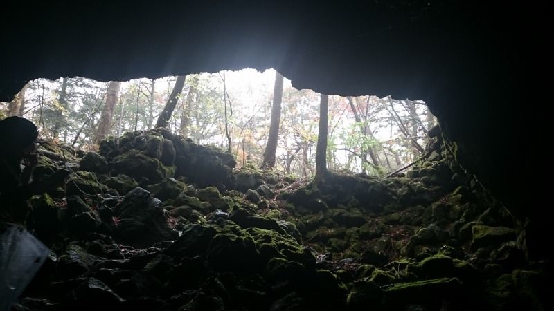 Feel Great Nature of Mt.Fuji & Mystical Forest Aokigahara - Mount Fuji ...