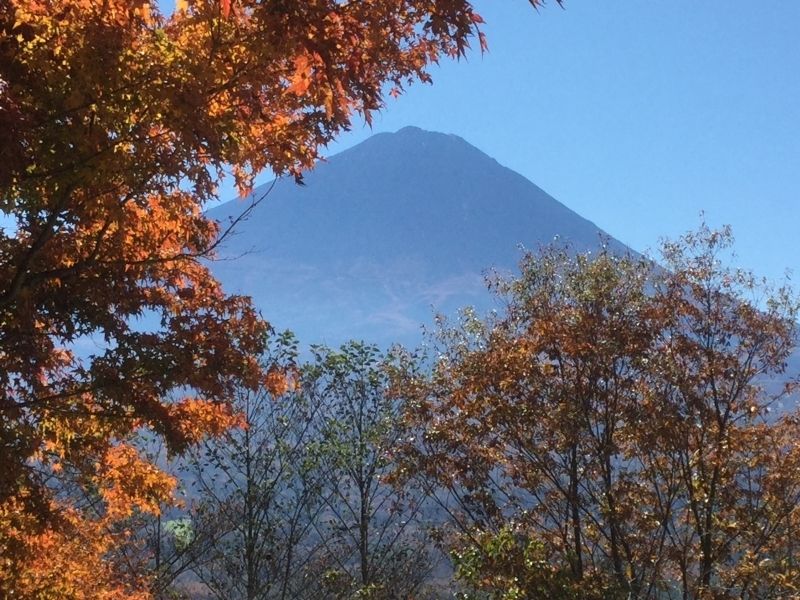 Hiking for the view of Mt Fuji and Aokigahara forest - Mount Fuji ...