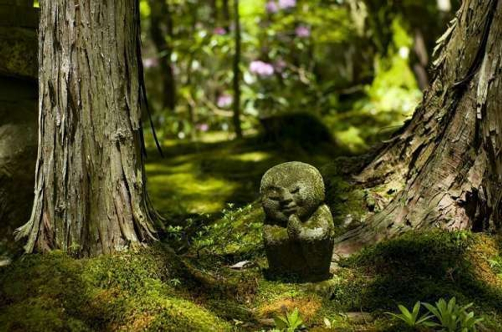 Top 5 Sightseeing Spots in Kyoto's Sakyo Ward | GoWithGuide