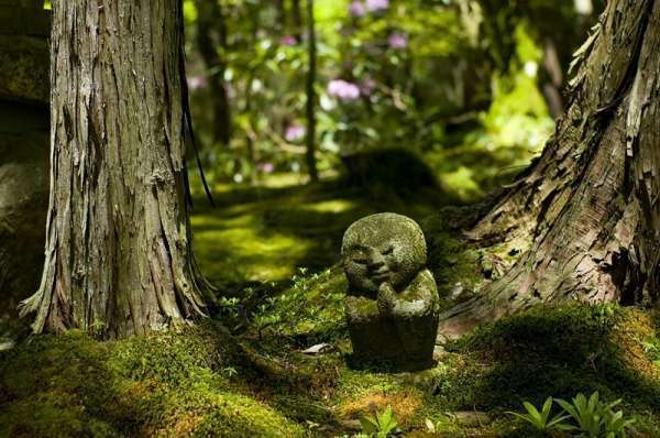 Top 5 Sightseeing Spots in Kyoto's Sakyo Ward | GoWithGuide