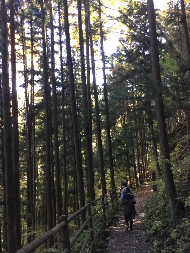 Fukiwarenotaki(Fall) in Gunma Prefecture | GoWithGuide