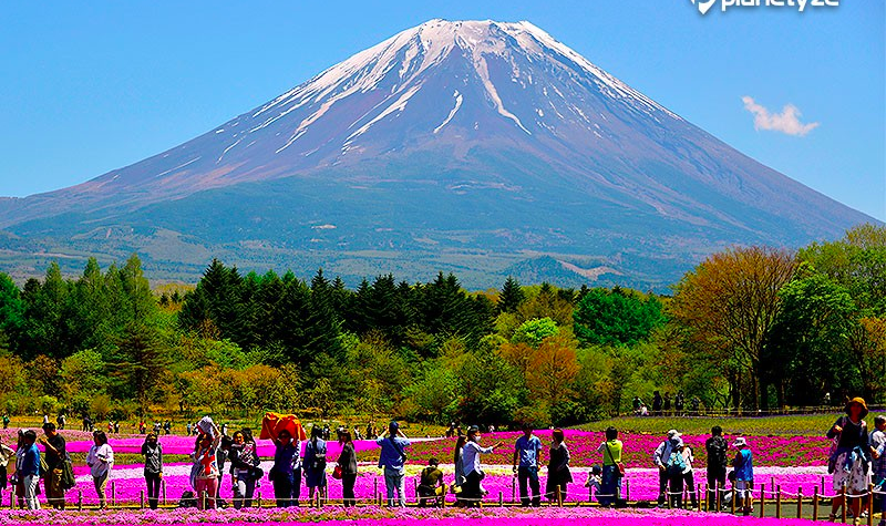 Things to do in Tokyo in July - Events and Festivals | GoWithGuide