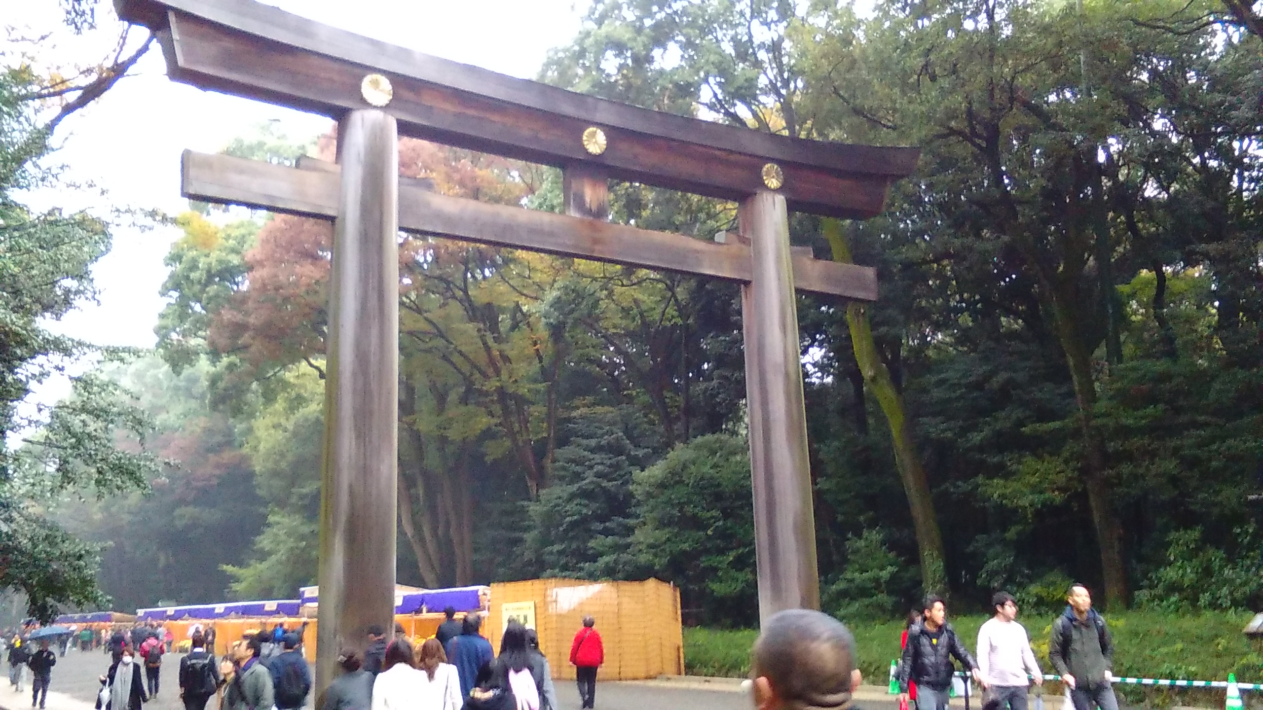 Various Tokyo Tour Spots For Each Category | GoWithGuide