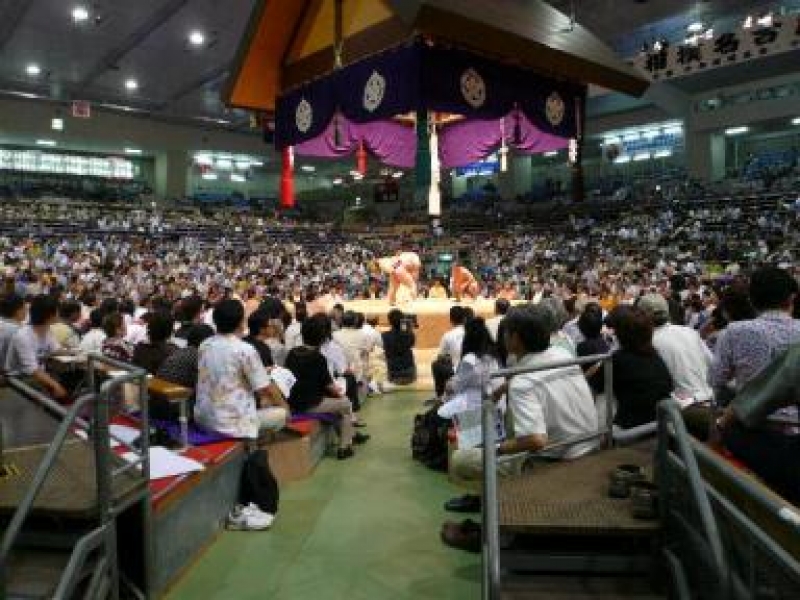 Sumo Introduction For Your Great Experience | GoWithGuide