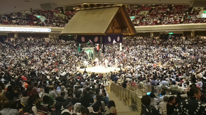 Sumo Introduction For Your Great Experience | GoWithGuide