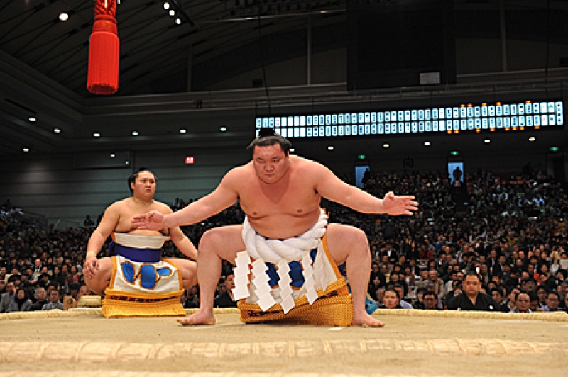 Shimenawa Sumo
