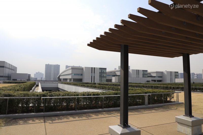 Tuna Auction in Tokyo: Toyosu Fish Market Guide | GoWithGuide