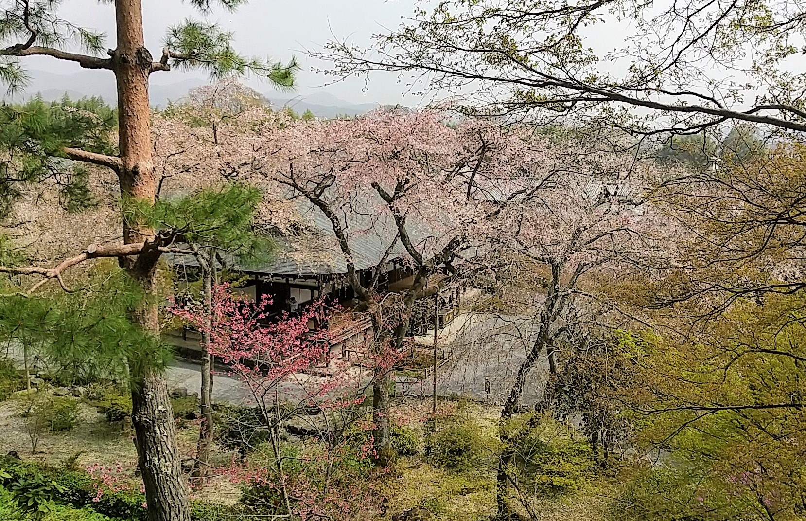 Tenryuji Temple, the spirit of Zen Buddhism | GoWithGuide
