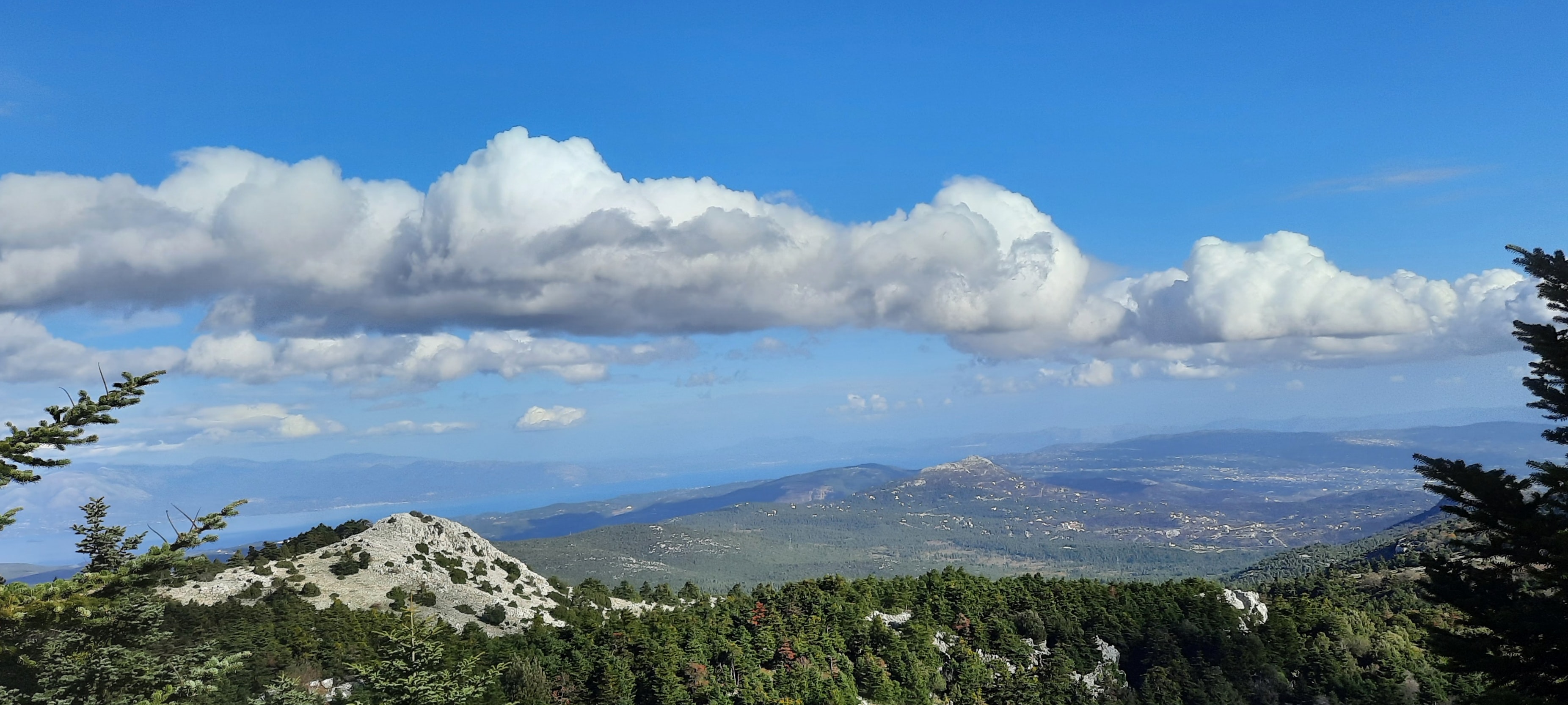 Our Top 3 Private Nature Tours in Athens | GoWithGuide